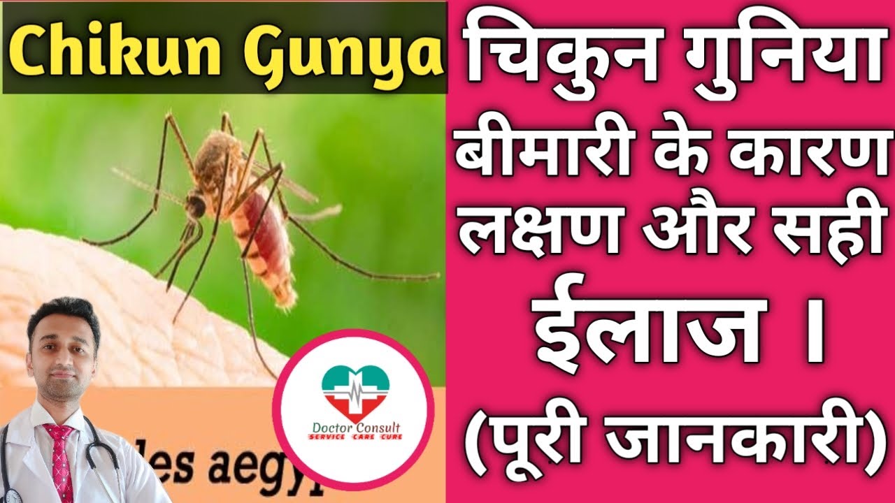 Chikun Gunya। चिकुन गुनिया बीमारी के कारण, लक्षण और सही ईलाज। पूरी ...