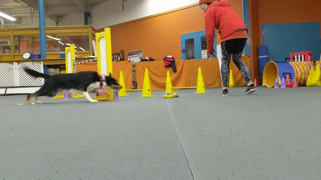 1 jump collection - YouTube