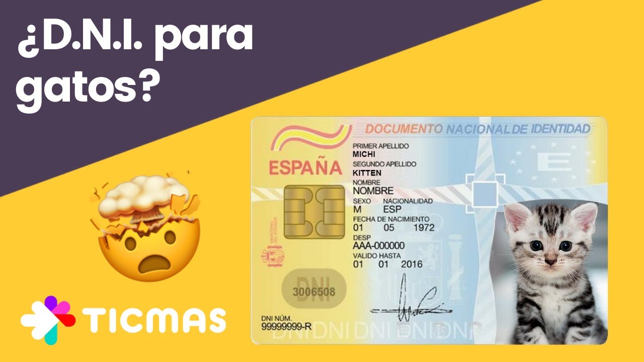Un DNI para tu GATO 🐈 ¿Qué son las especies exóticas invasoras? - YouTube