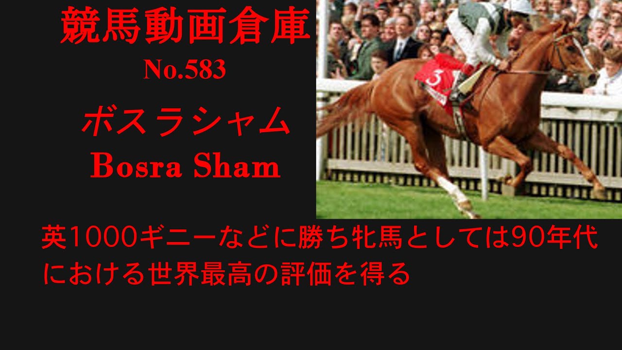 【競馬】ボスラシャム Bosra Sham【No583】 - YouTube