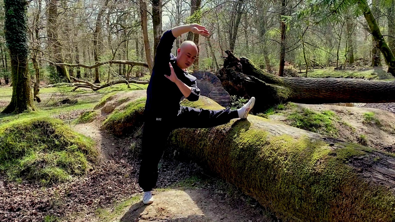 3 Kung Fu Basics Stretch Routine Before Workout | Martial Arts Stretch ...