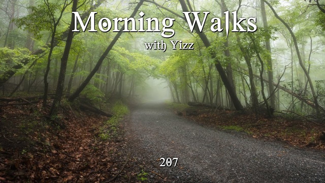 Morning Walks with Yizz 207 - YouTube