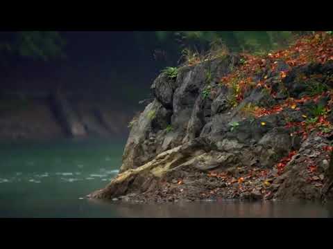 Biri vardı biri yox-Nüsret Kesemenli (Seslendirme - Vusale Meryem Alıcı)