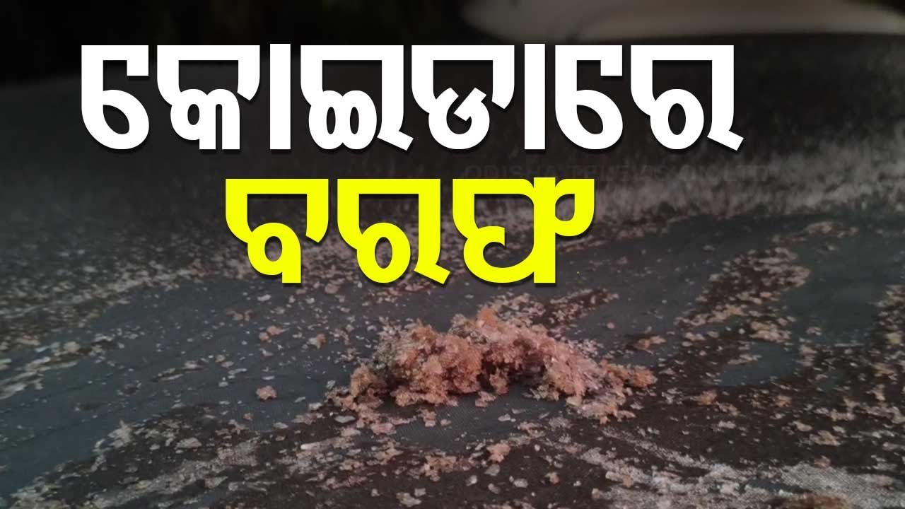 Severe Cold Turns Dewdrops into Ice as Night Temperature Drops Below 5 ...