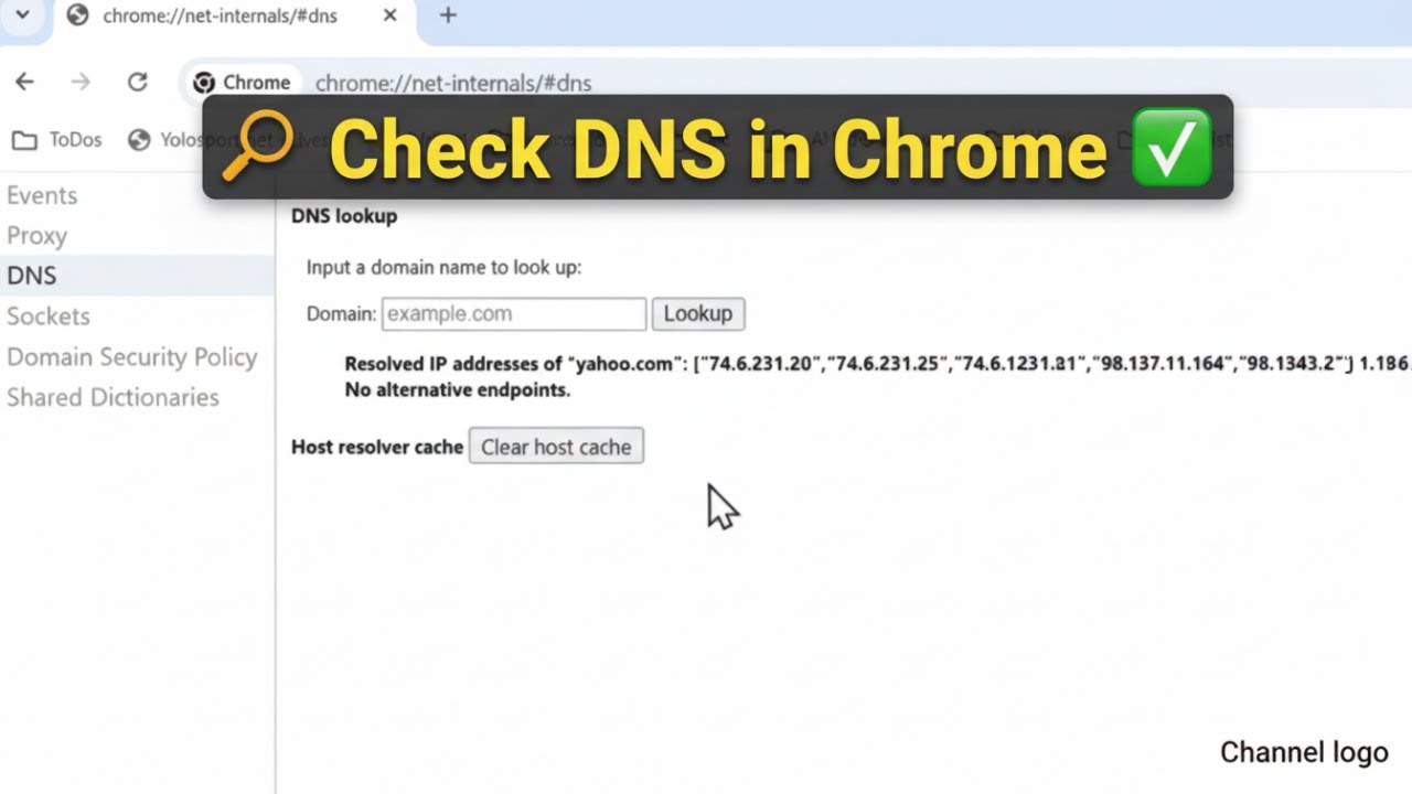 How to Look Up a DNS in Google Chrome (Quick & Easy 2025 Guide) - YouTube