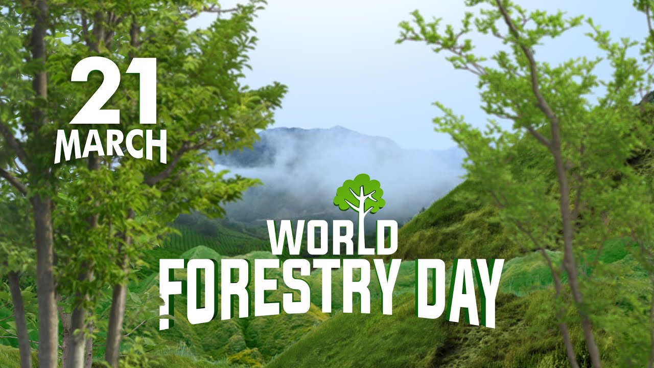 World Forestry Day | 21 March | International Day of Forests - YouTube