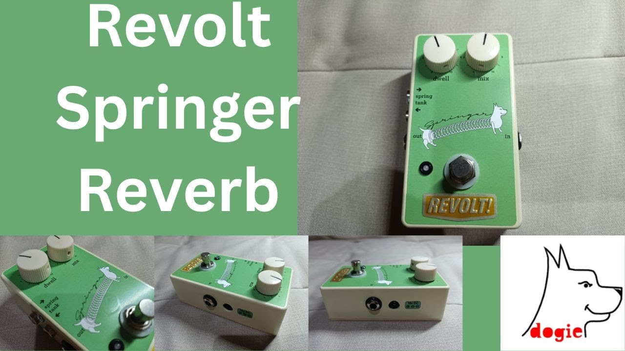 Revolt Springer Reverb Part 2 - YouTube