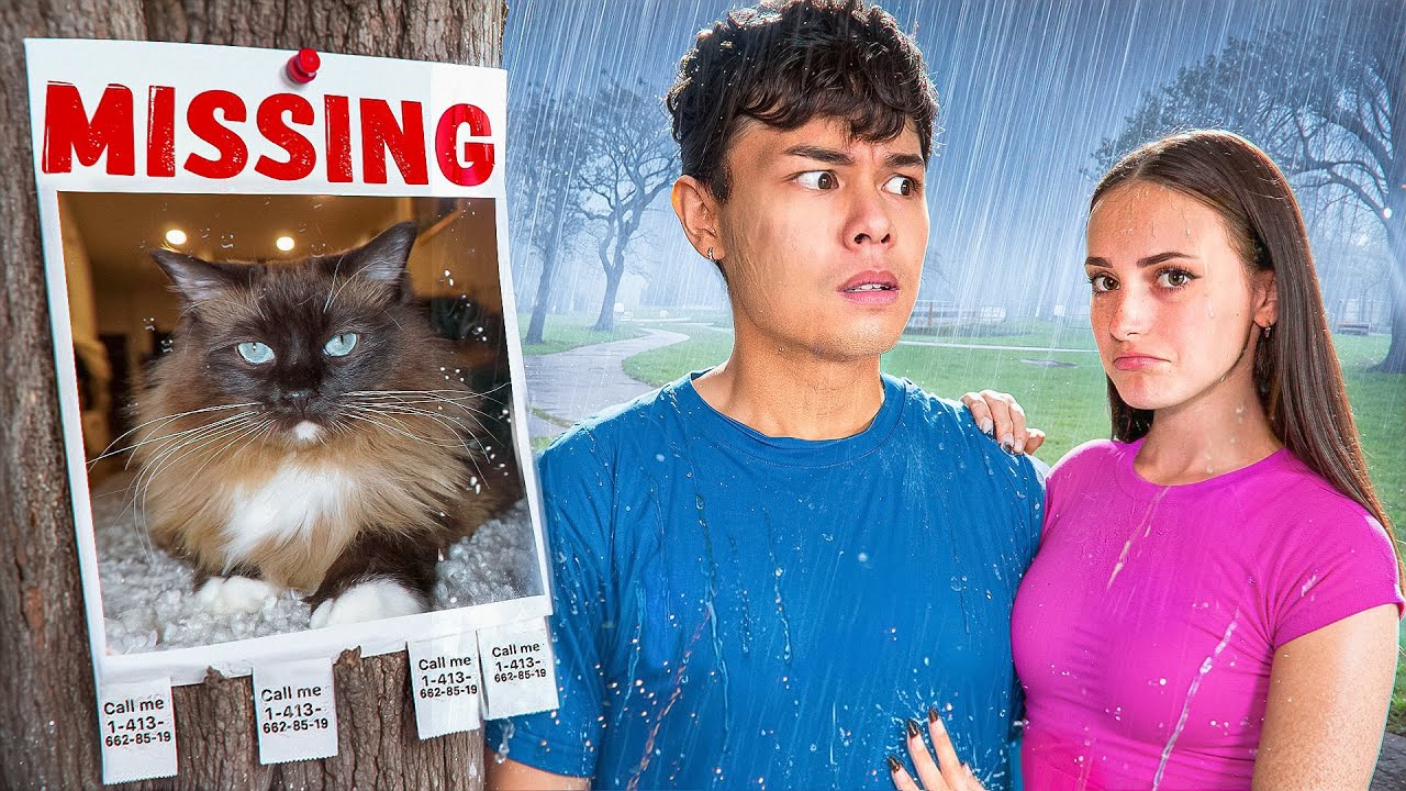 My Cat IS MISSING! *Help* - YouTube