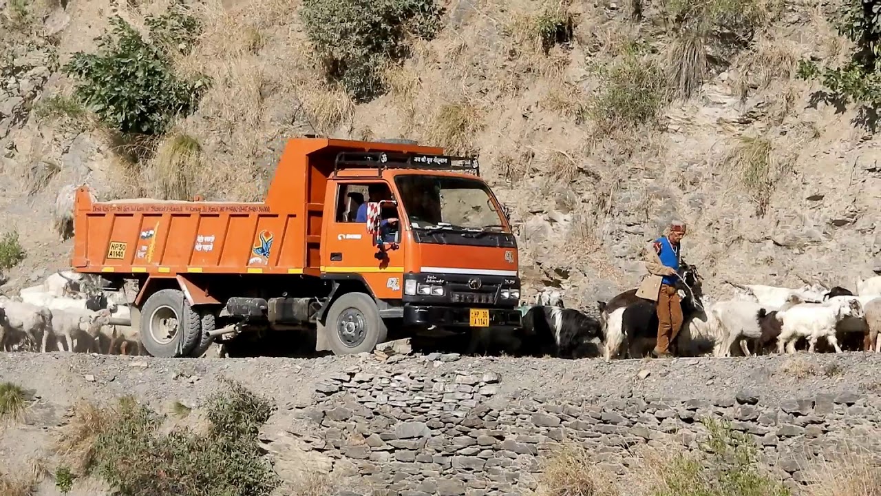 Himalayan Shepherds || Himachal Pradesh, India - YouTube