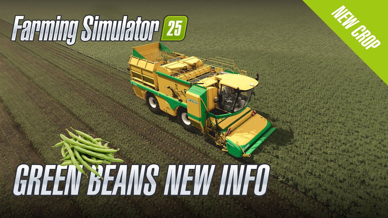Farming Simulator 25 - New Crop - Green Beans - YouTube