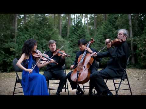 Borealis String Quartet - YouTube