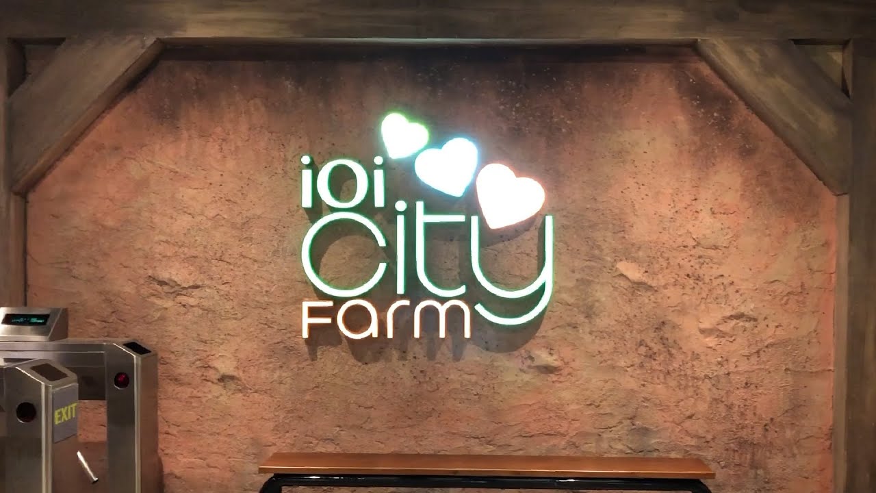 IOI City Farm Full Tour @ IOI City Mall | Malaysia’s FIRST Indoor Farm ...