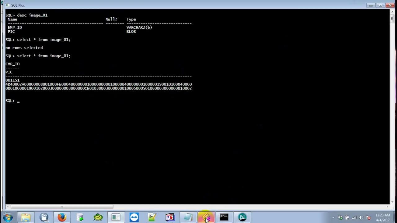 How to Upload Image in Oracle Forms to Oracle Database 10g | Muhammad Abdul Quium (V-28) - YouTube