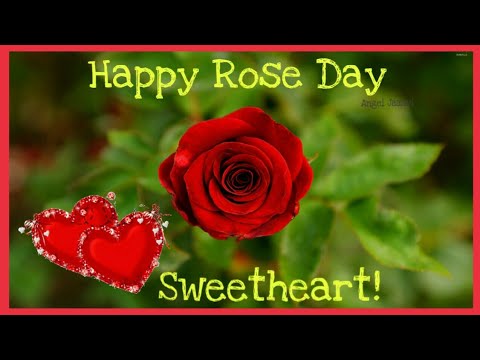 Happy Rose Day WhatsApp Status Video 2020 | Rose Day Romantic Message for Boyfriend/Girlfriend|