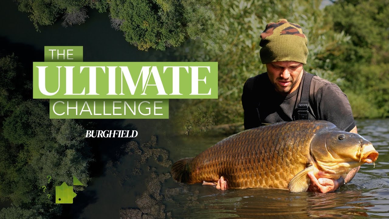 The Best Carp in the UK? | The Ultimate Challenge | The Burghfield ...