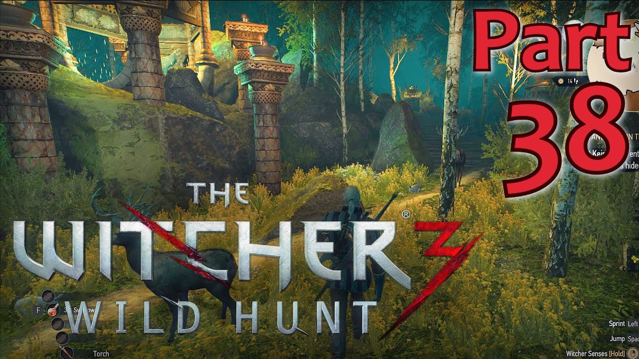 The Witcher 3 Full Gameplay in 60fps/1080p, Part 38: The Witch of ...