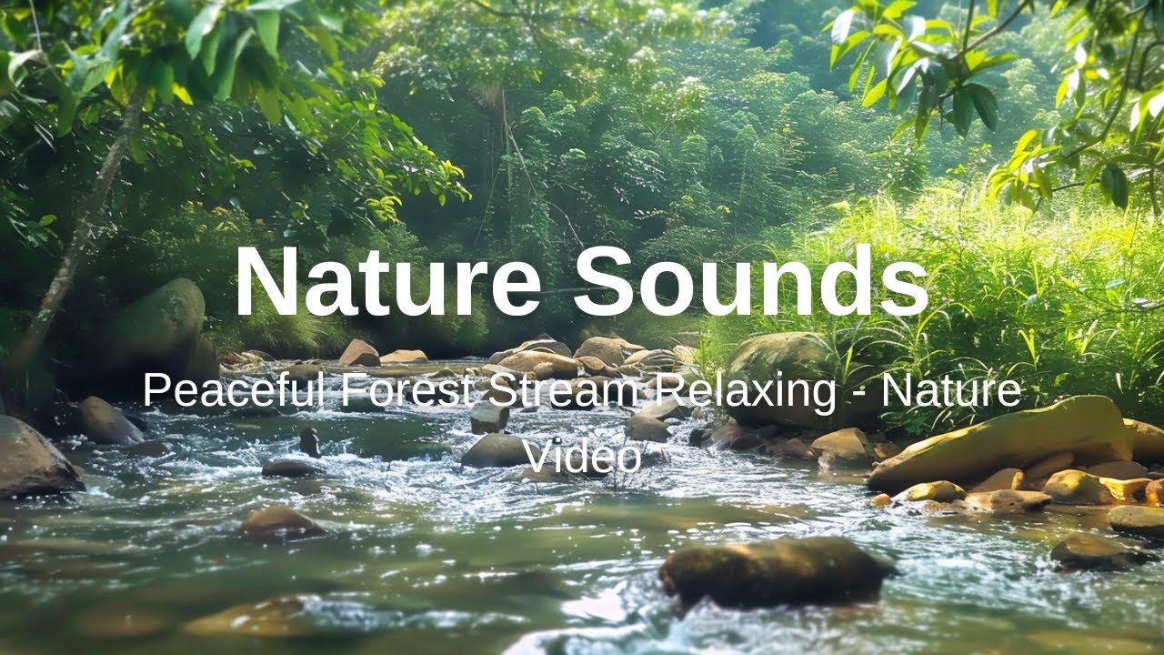 Relaxing Sounds of Stream, Birds Singing - Peaceful Forest Stream ...