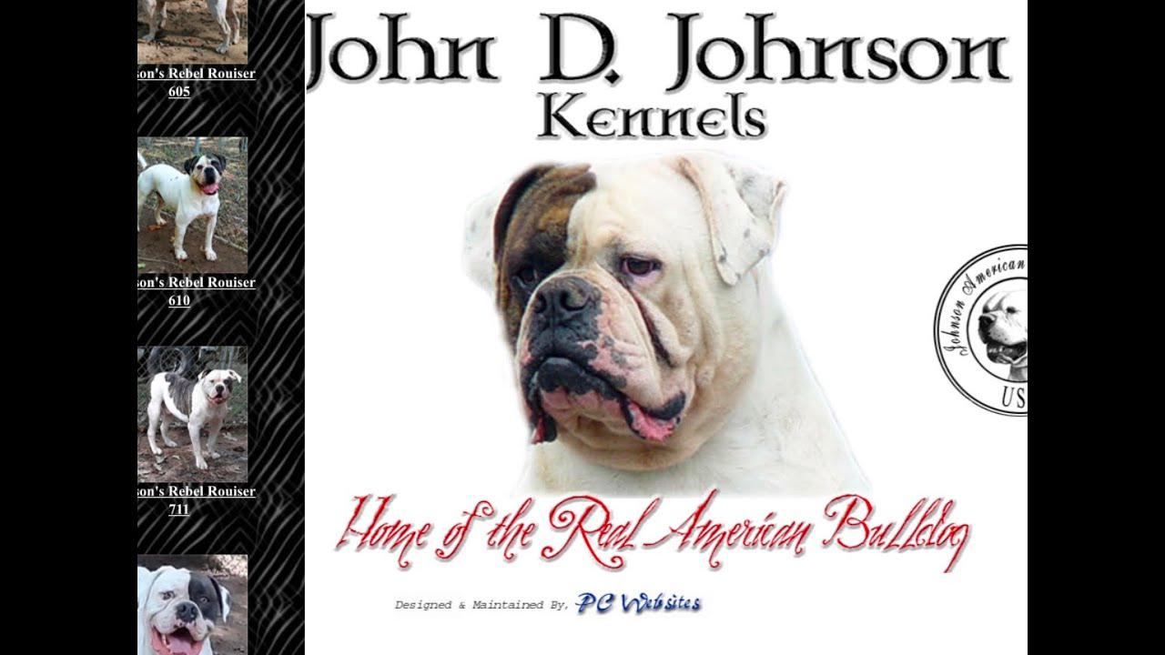 Everything is not a purebred or a Johnson type American bulldog ...