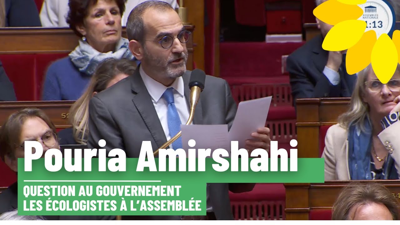 Pouria Amirshahi, député Écologiste de Paris s'adresse au gouvernement ...