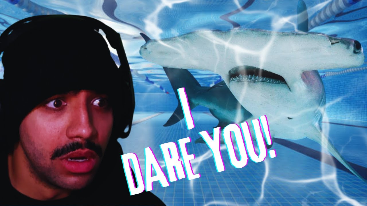 SWIMMING WITH A HAMMERHEAD SHARK IN THE POOL | SHARKS AND MINNOWS - YouTube