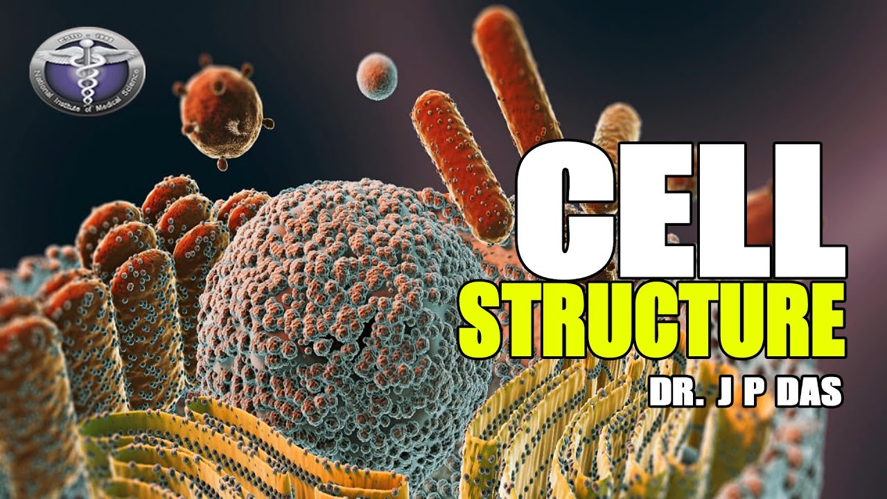 CELL STRUCTURE | DR. J P DAS - YouTube