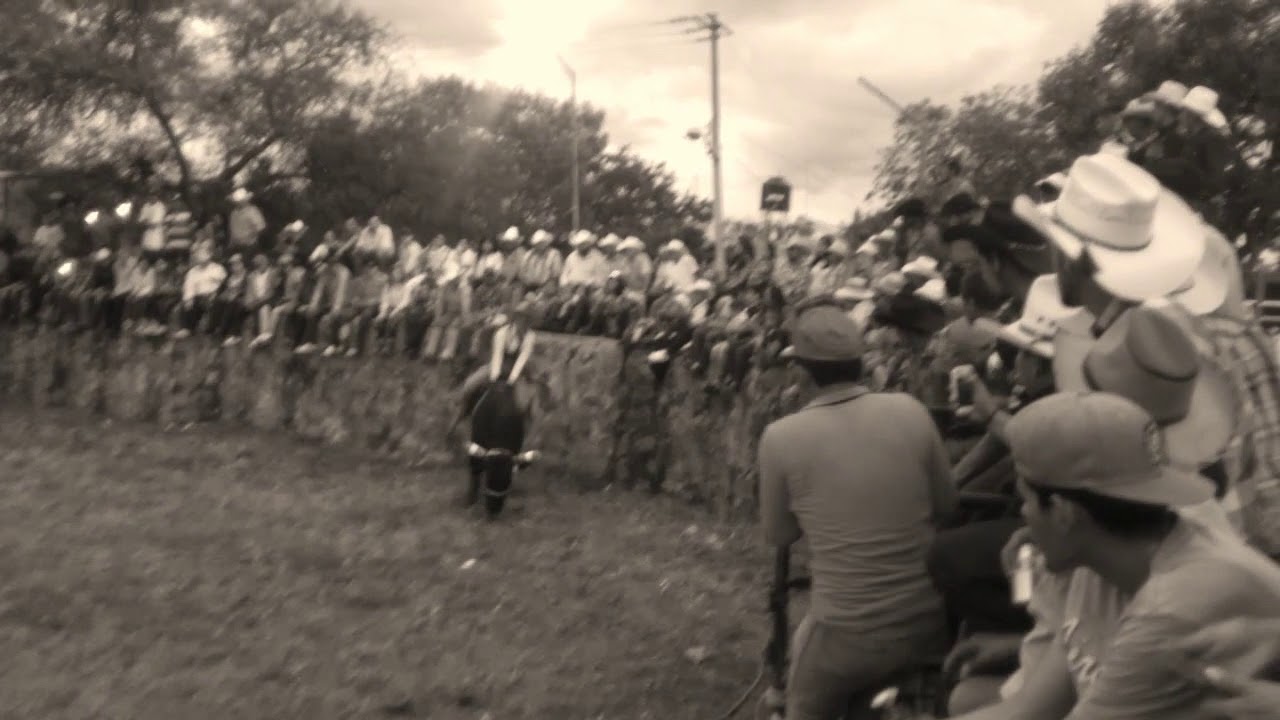MONTA AL ESTILO CHARRO Y POR POCO LE DA UN PISOTON EL TORO!!! Rancho ...