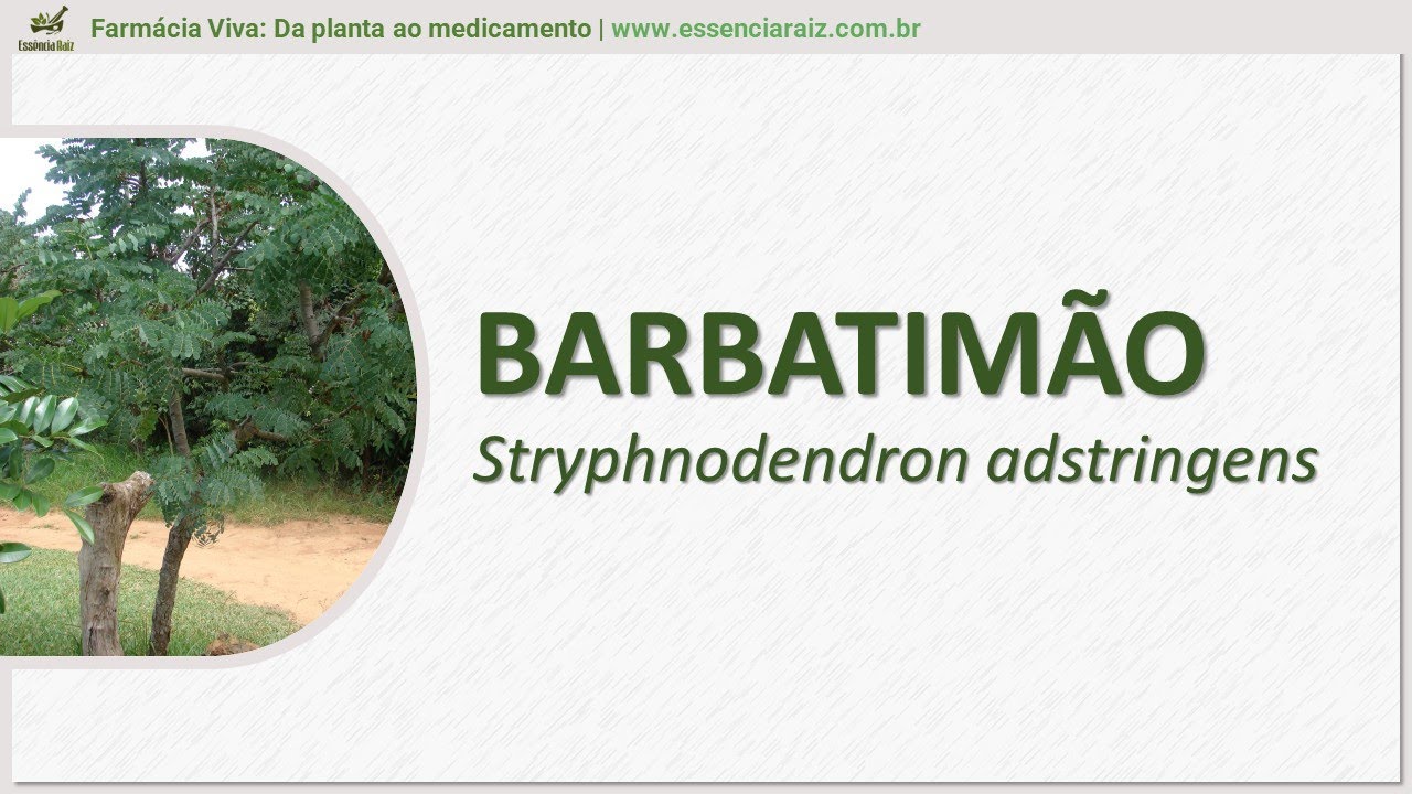 BARBATIMAO - Stryphnodendron adstringens - YouTube