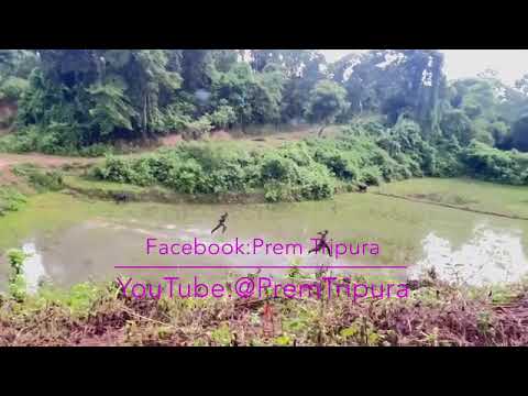 ARAKAN ROHINGYA ARMY ARSA AA  FAHIT 19/7/2023 ARAKAN STATE ROHINGYA MUSILM RIGHTSITTWE MYANMAR BURMA