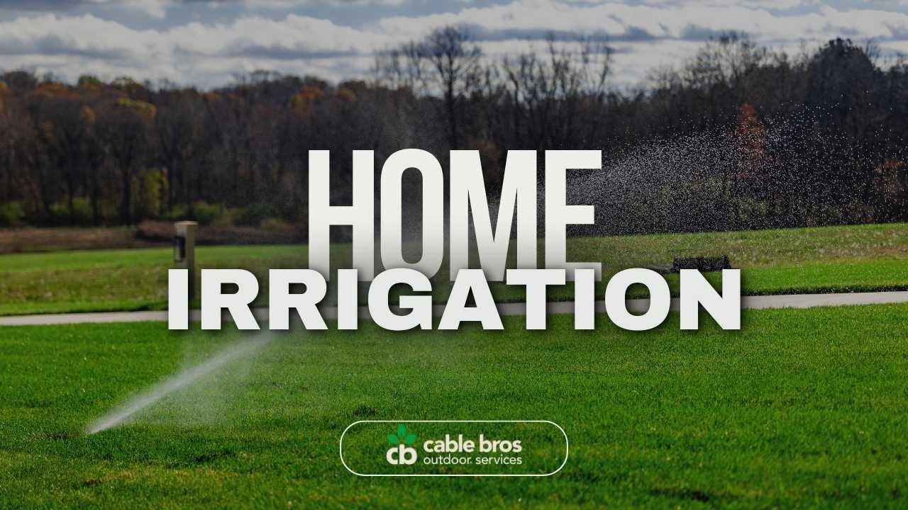 Transform Your Yard with Cable Brothers: A Customer's Story 🌟 - YouTube