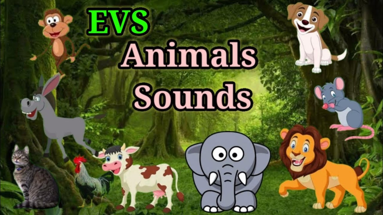 Animals Sound | Cries of Animals | EVS | Animal Sounds for Kids - YouTube