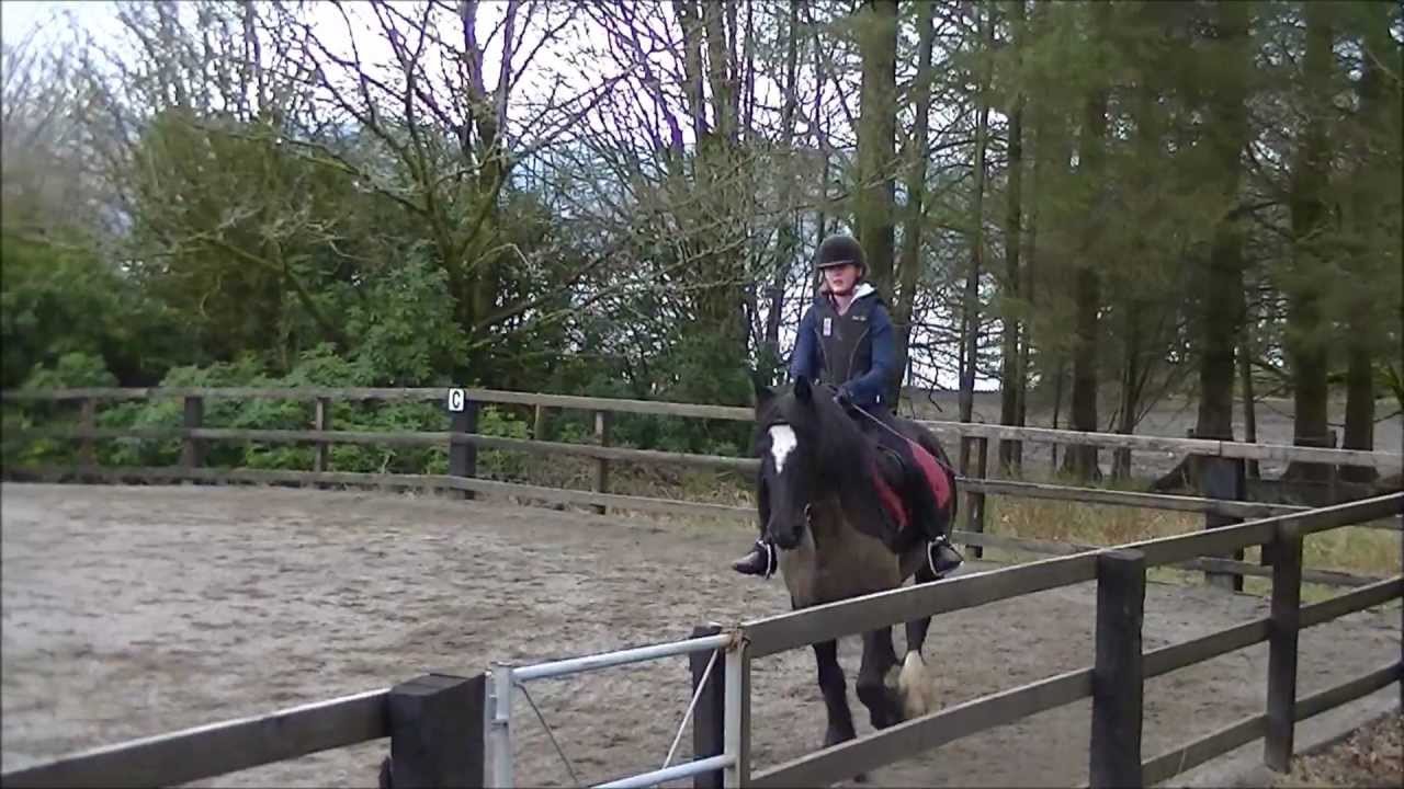 Lesson with Nigel Springer - YouTube