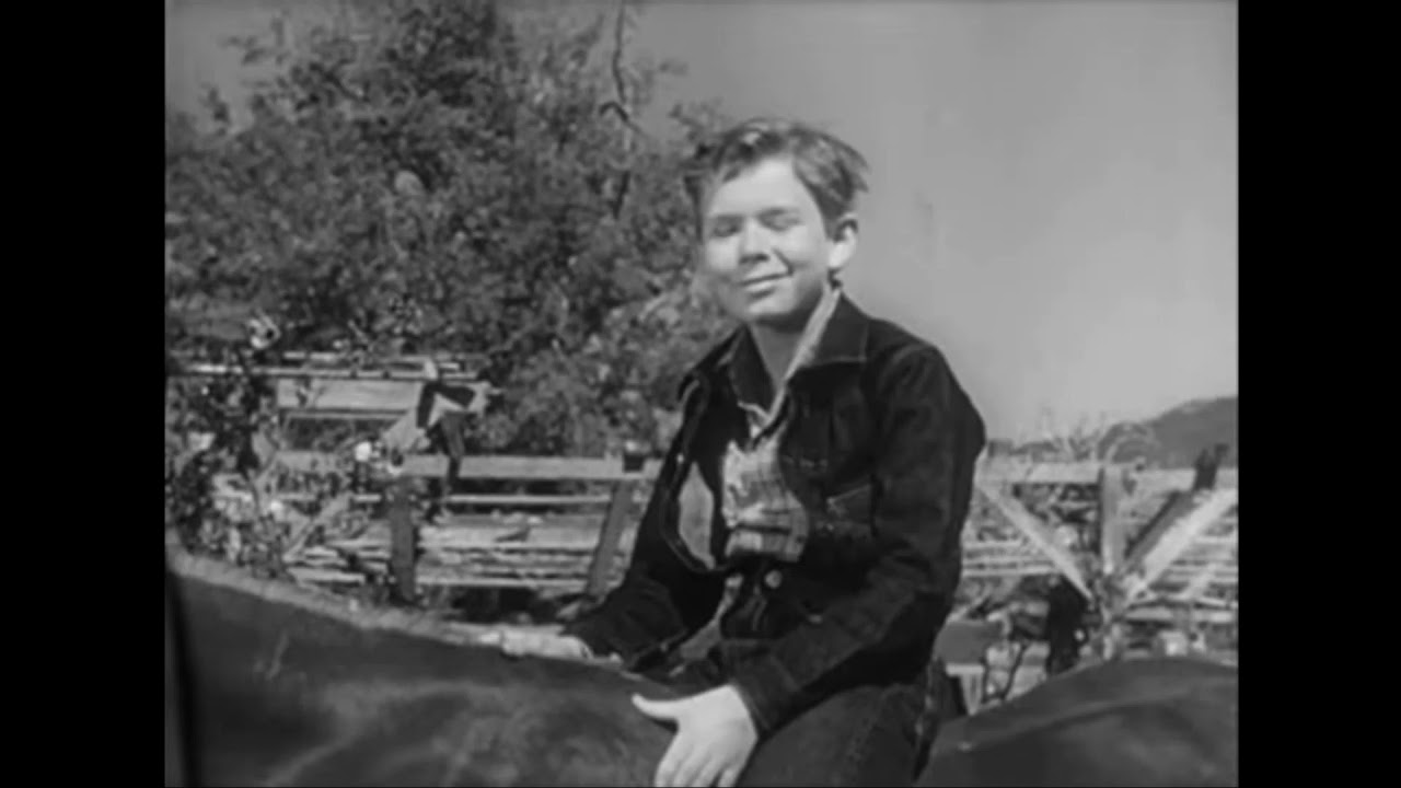 Champion The Wonder Horse Theme Tune (The Adventures of Champion ...