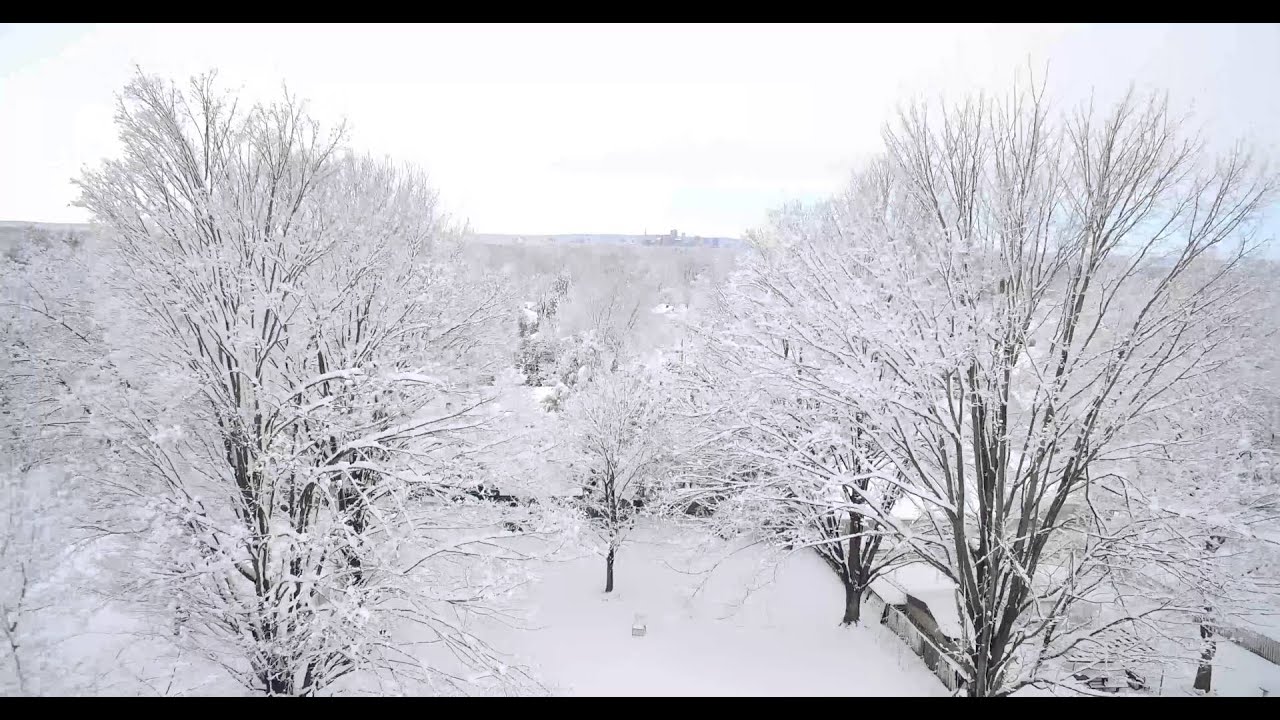 Snow Day East Hartford, CT 2.5.2016 - YouTube