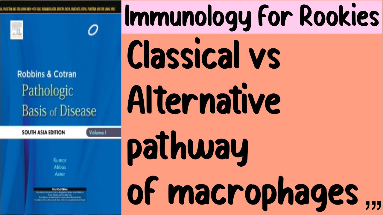 Classical vs Alternative pathway of Macrophages - YouTube