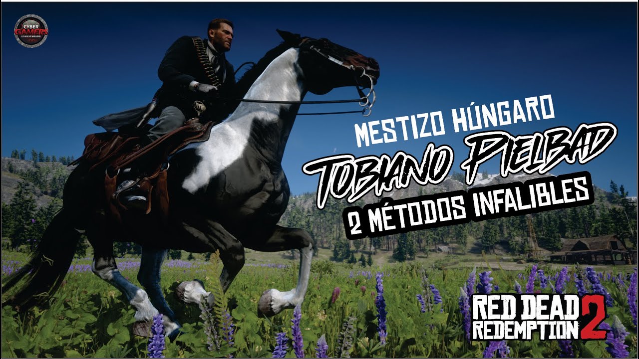 "2 Métodos Efectivos para Conseguir el Bravo Caballo Tobiano Pielbad en ...