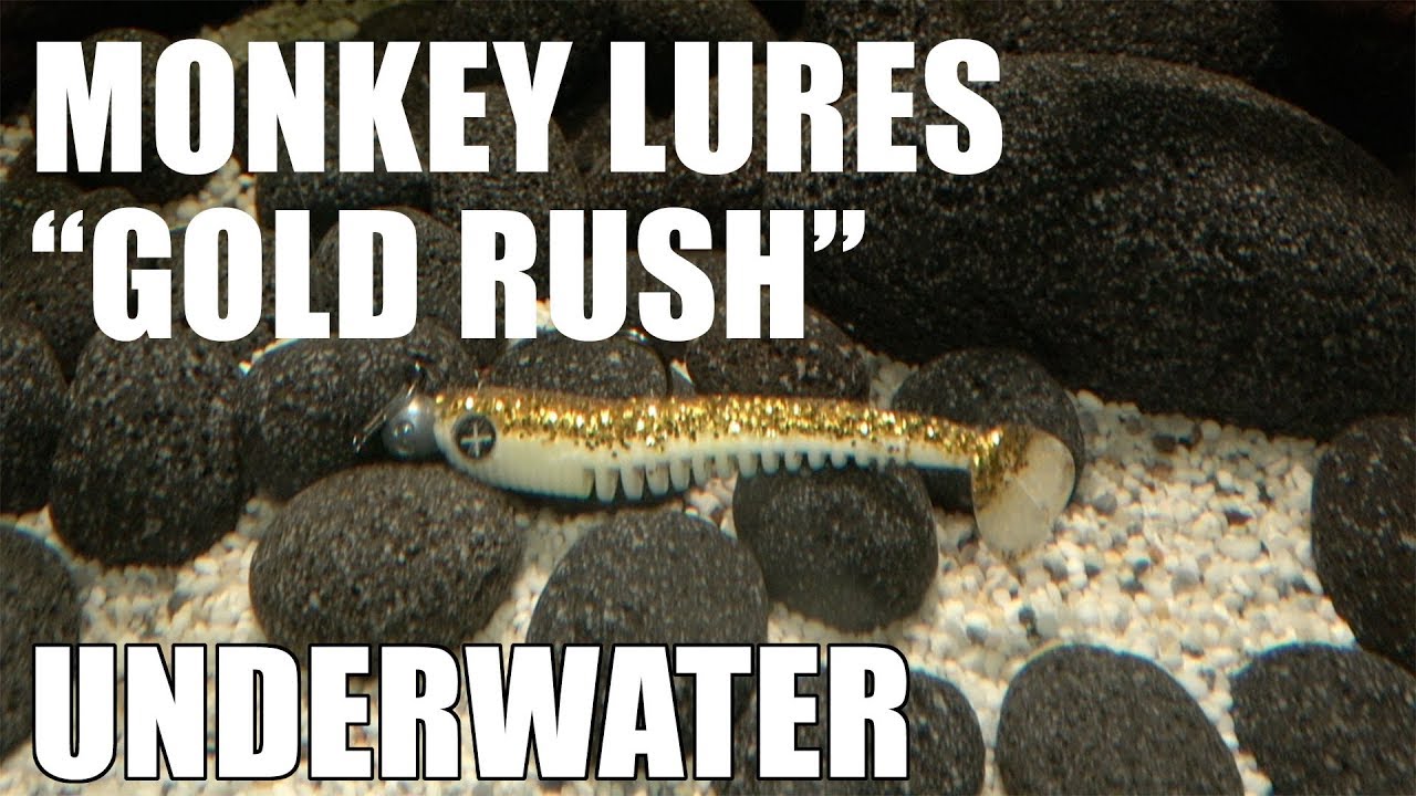 Monkey Lures: Gold Rush! Lure action! Underwater! Full HD - YouTube
