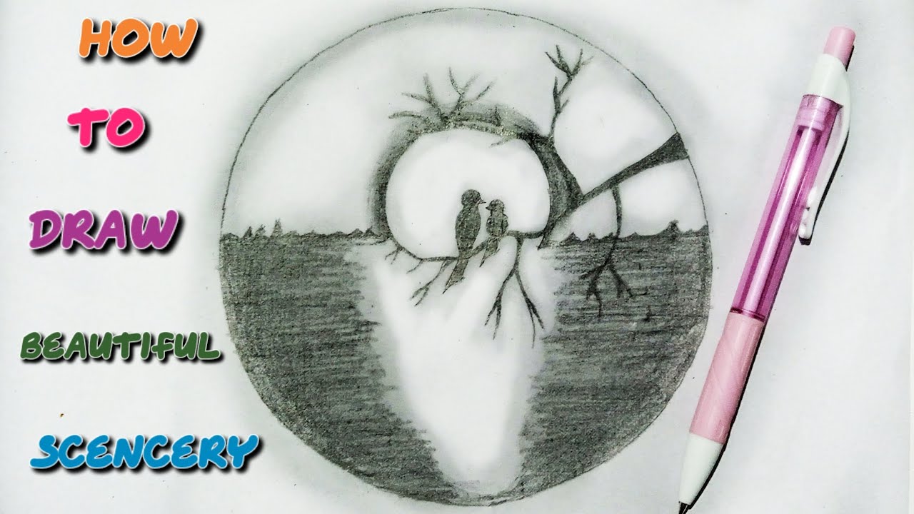 NATURE & CUTE BIRDS VIEW DRAWING EASY WAY🌹STEP BY STEP - YouTube