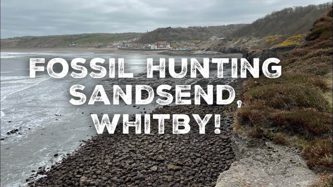 Fossil Hunting At Sandsend, Whitby On The Yorkshire Jurassic Coast ...