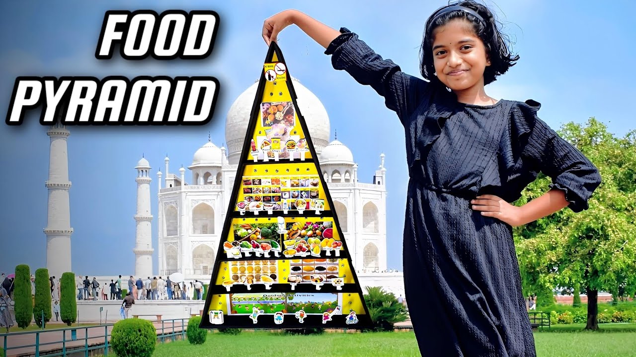 First Prize 🏆 School Science Project Competition | Food Pyramid Model ...