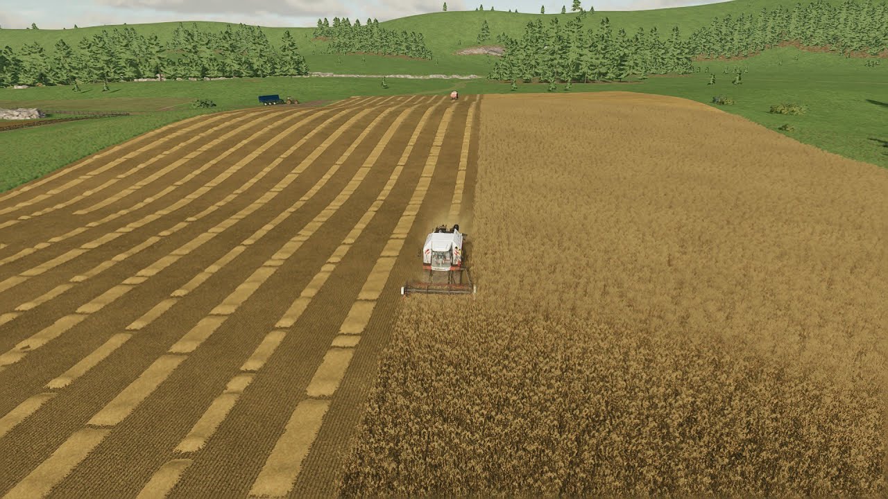 FS22 - NoMansLand - Ep21- Large Field is ready! - YouTube