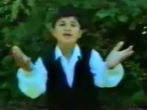 ihsan hasen buhara Rangin