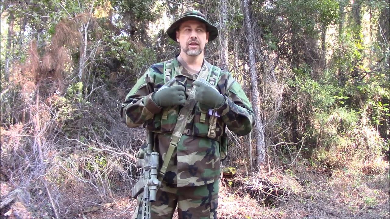 M81 Woodland pt 2 - YouTube