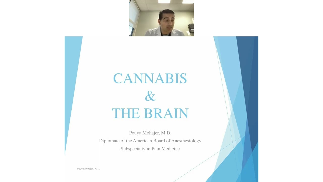Cannabis in The Brain with Dr. Pouya Mohajer - YouTube