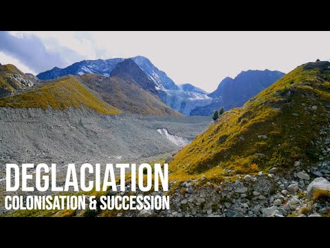 Deglaciation: Colonisation & succession #nature #thenaturalcompanion #glaciation #vegetation