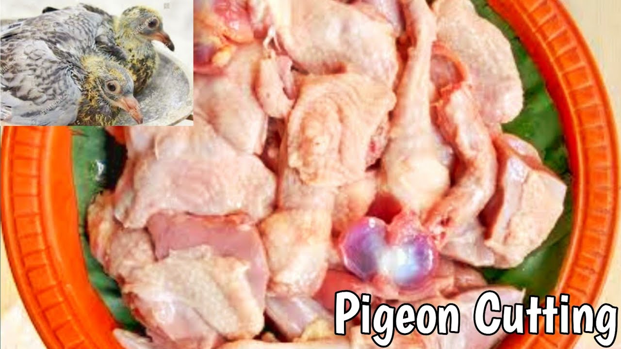 How to cutting pigeon/pigeon cutting skills/ funny kitchen!! - YouTube