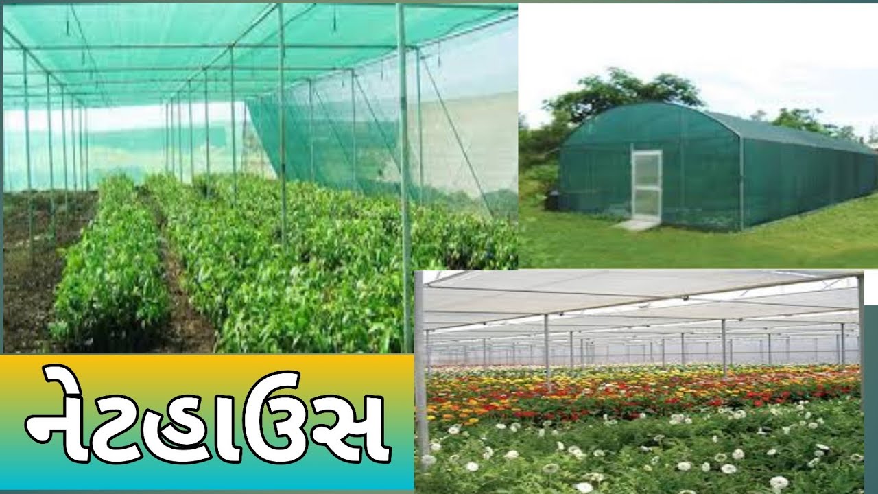 Net house subsidy in gujarat 2022 | SUBSIDY BY GOVERNMENT FOR POLY ...