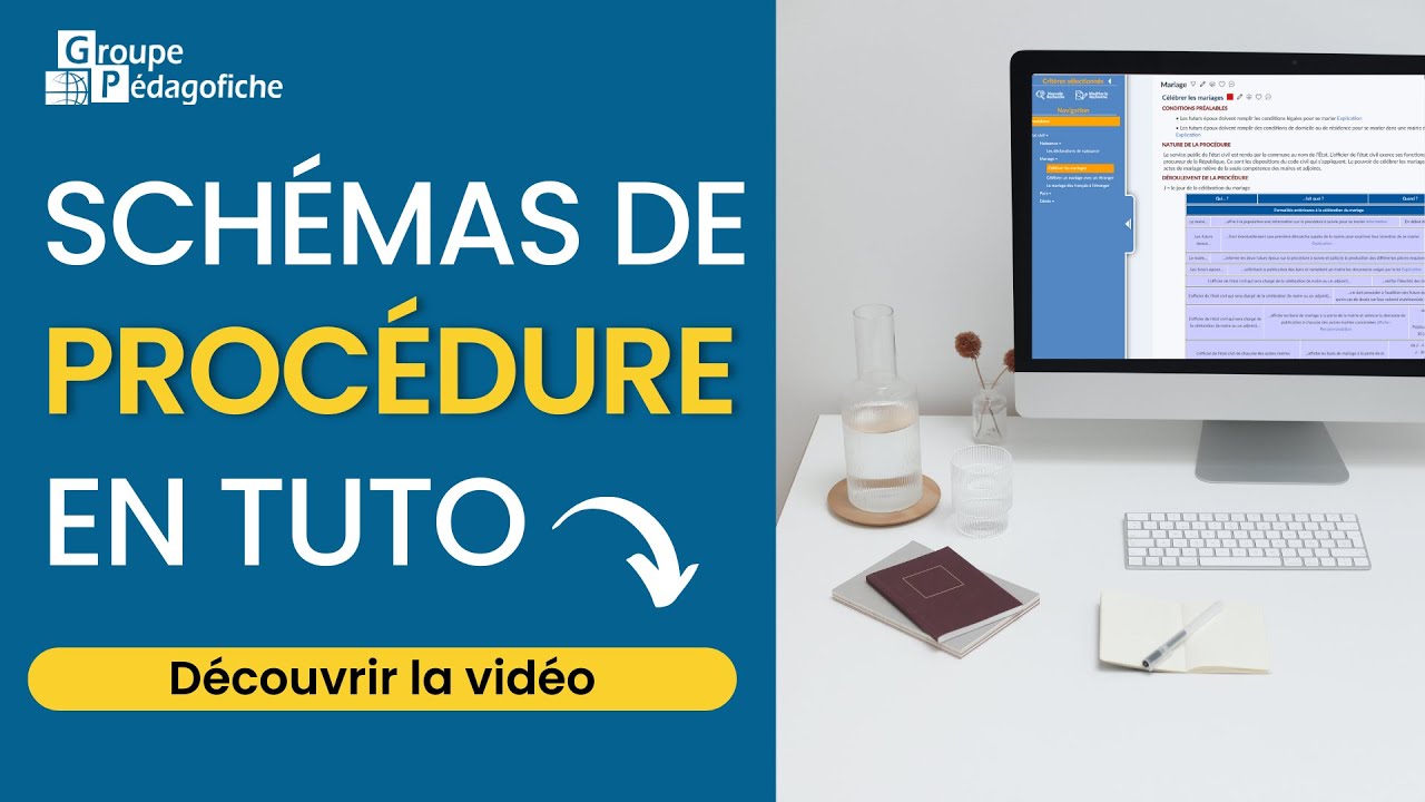 TUTO - Des schémas pour simplifier les procédures en droit des ...