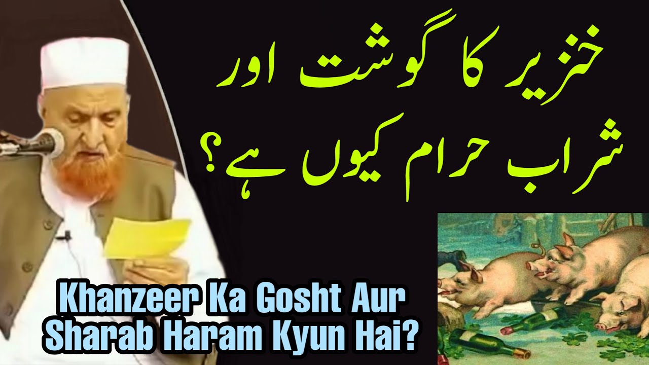 Khanzeer Ka Gosht Aur Sharab Haram Kyun Hai? Maulana Makki Al Hijazi ...