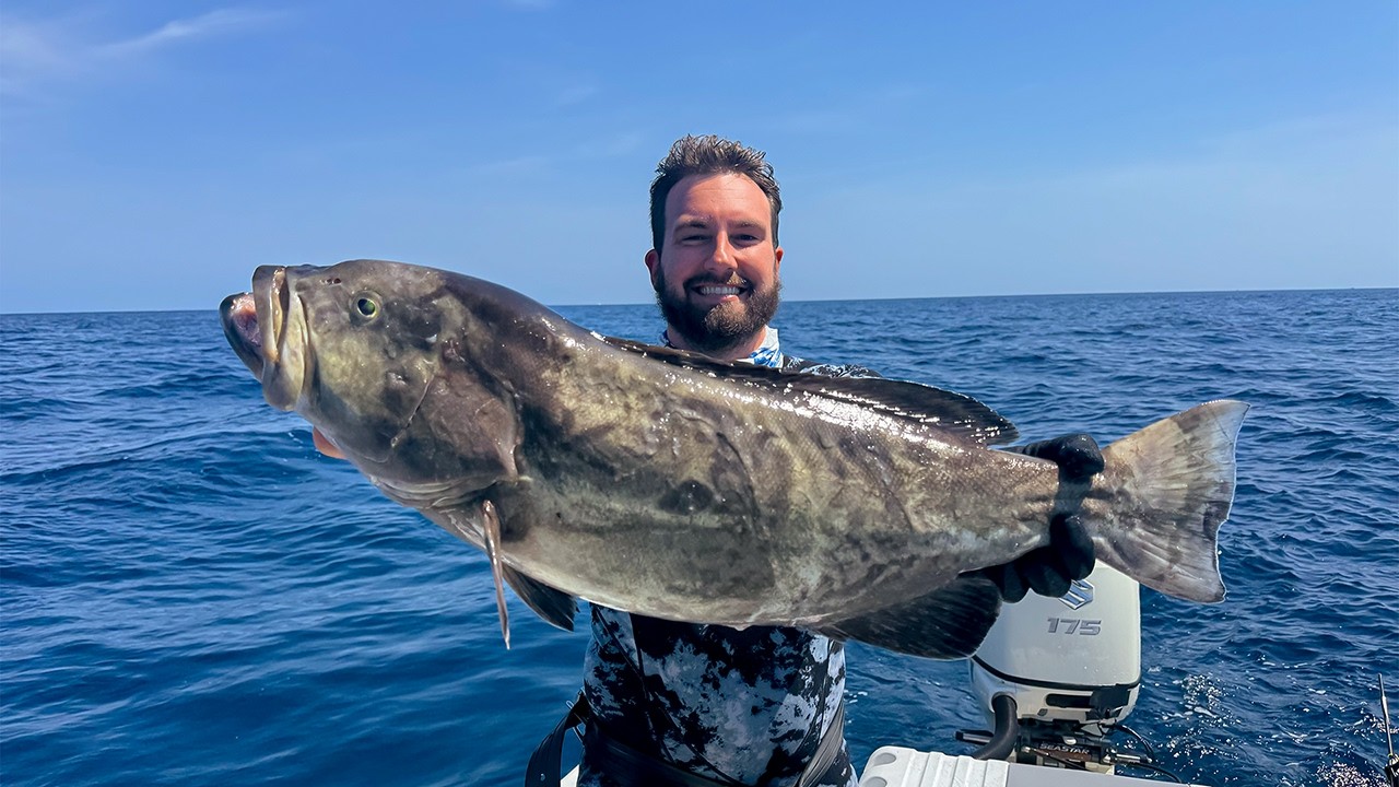 Spearfishing My Biggest Gag Grouper in Florida - YouTube