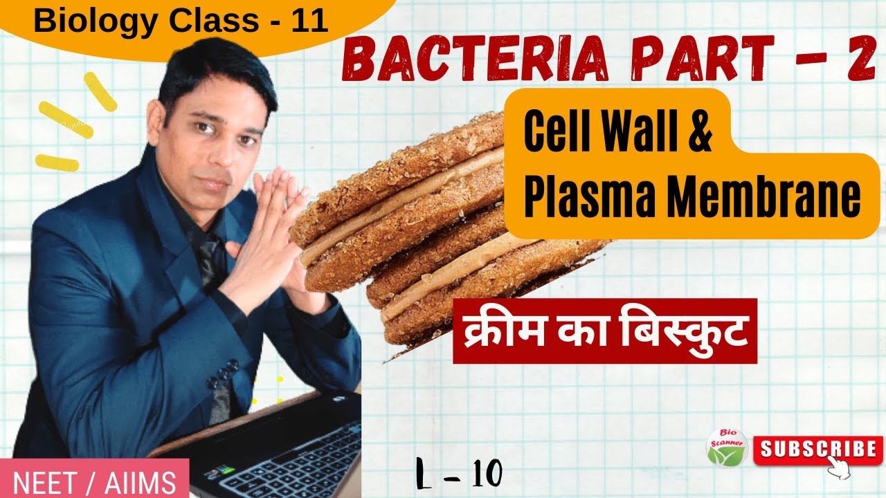 Biological Classification | Bacteria Part 2 | Lecture 10 | Biology ...